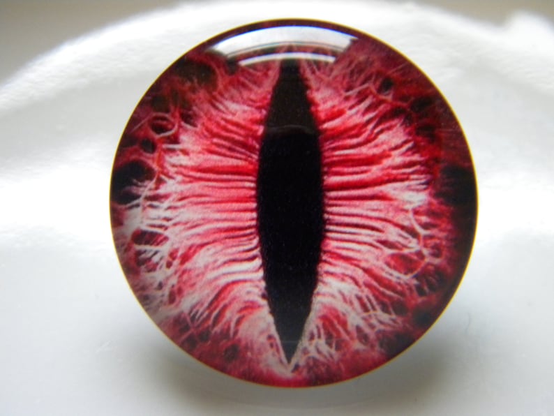 Glass Eyes, Red Eyes, Cat Eyes, Dragon Eyes, Animal Eyes, Creature Eyes ...