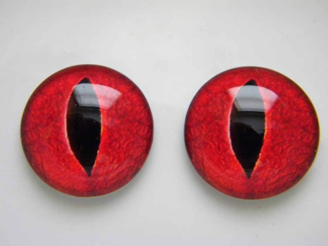Glass Eyes, Red Tree Frog Eyes, Reptile Eyes, Frog Eyes, Lizard Eyes ...