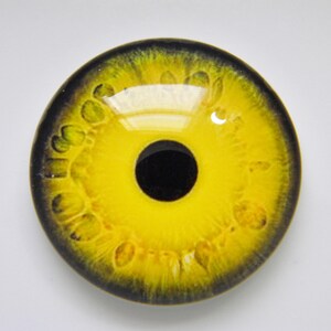 Glass Eyes, Monster Eyes, Yellow Monster Eyes, Zombie Eyes, Yellow ...