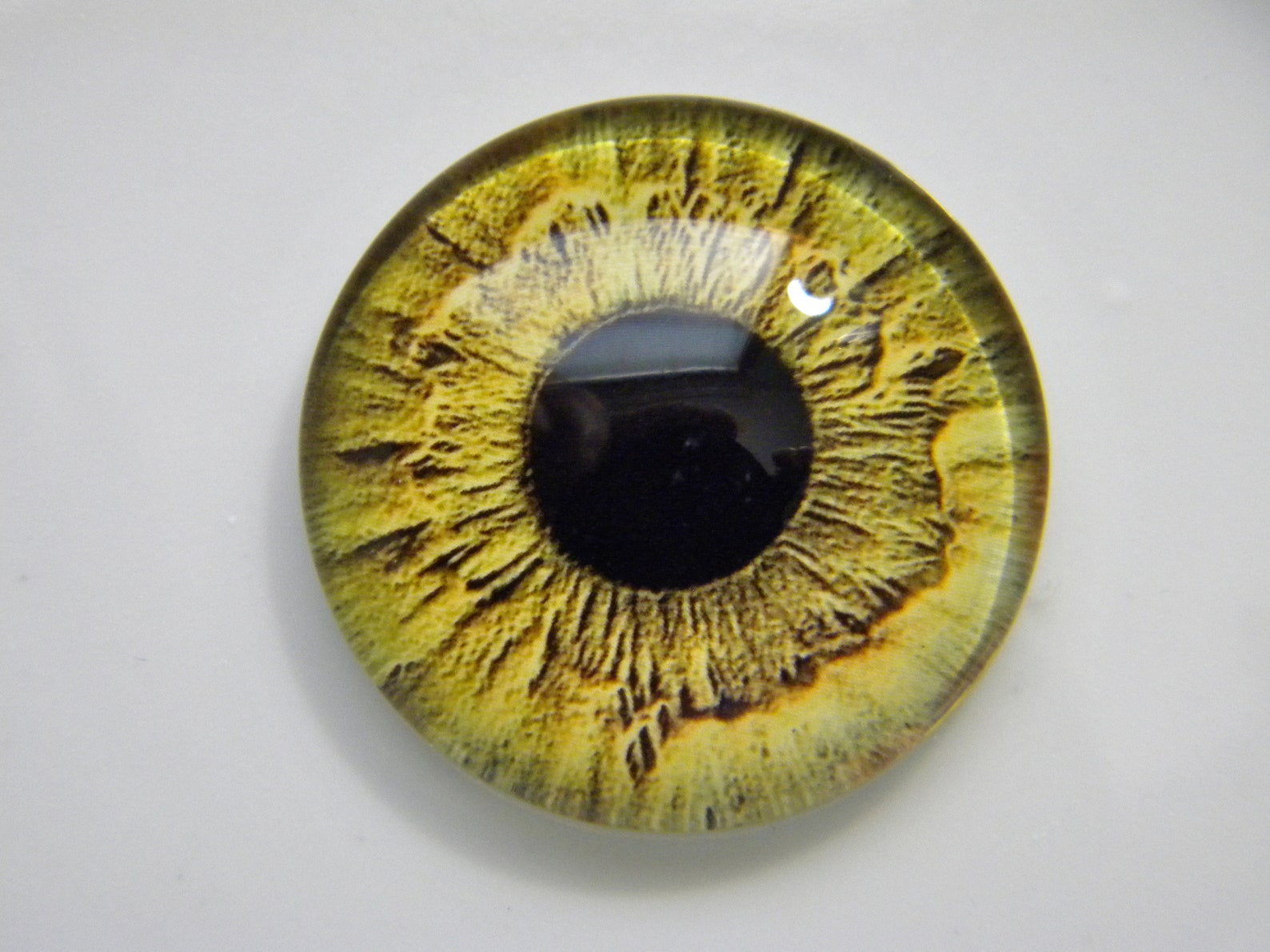 Glass Eyes Gold Eyes Golden Doll Eyes Gold Iris Human Etsy