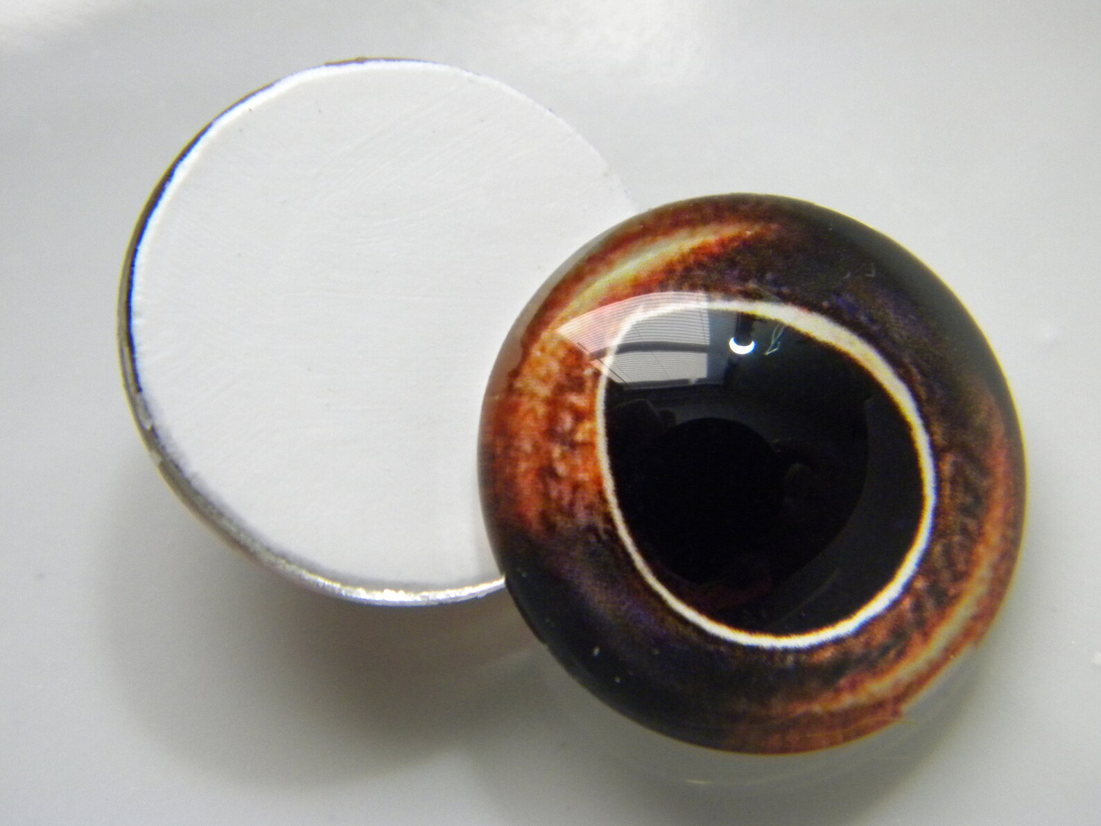 Glass Eyes, Frog Eyes, Fish Eyes, Reptile Eyes, Fishing Lure Eyes,glass ...