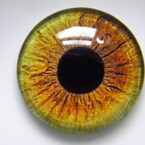 Glass Eyes, Gold Eyes, Golden Eyes, Doll Eyes, Human Eyes, Animal Eyes ...