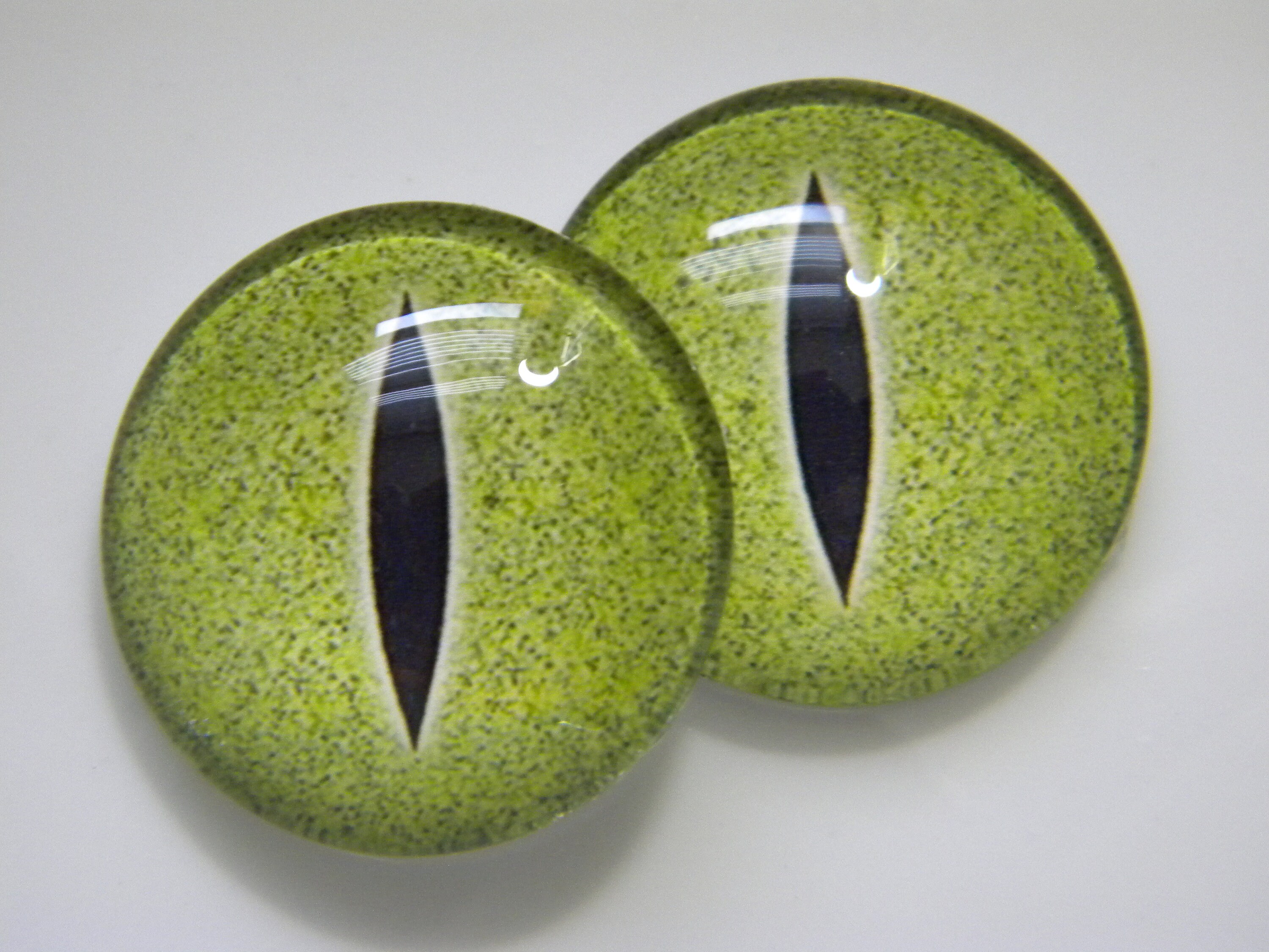 Alligator Glass Eyes