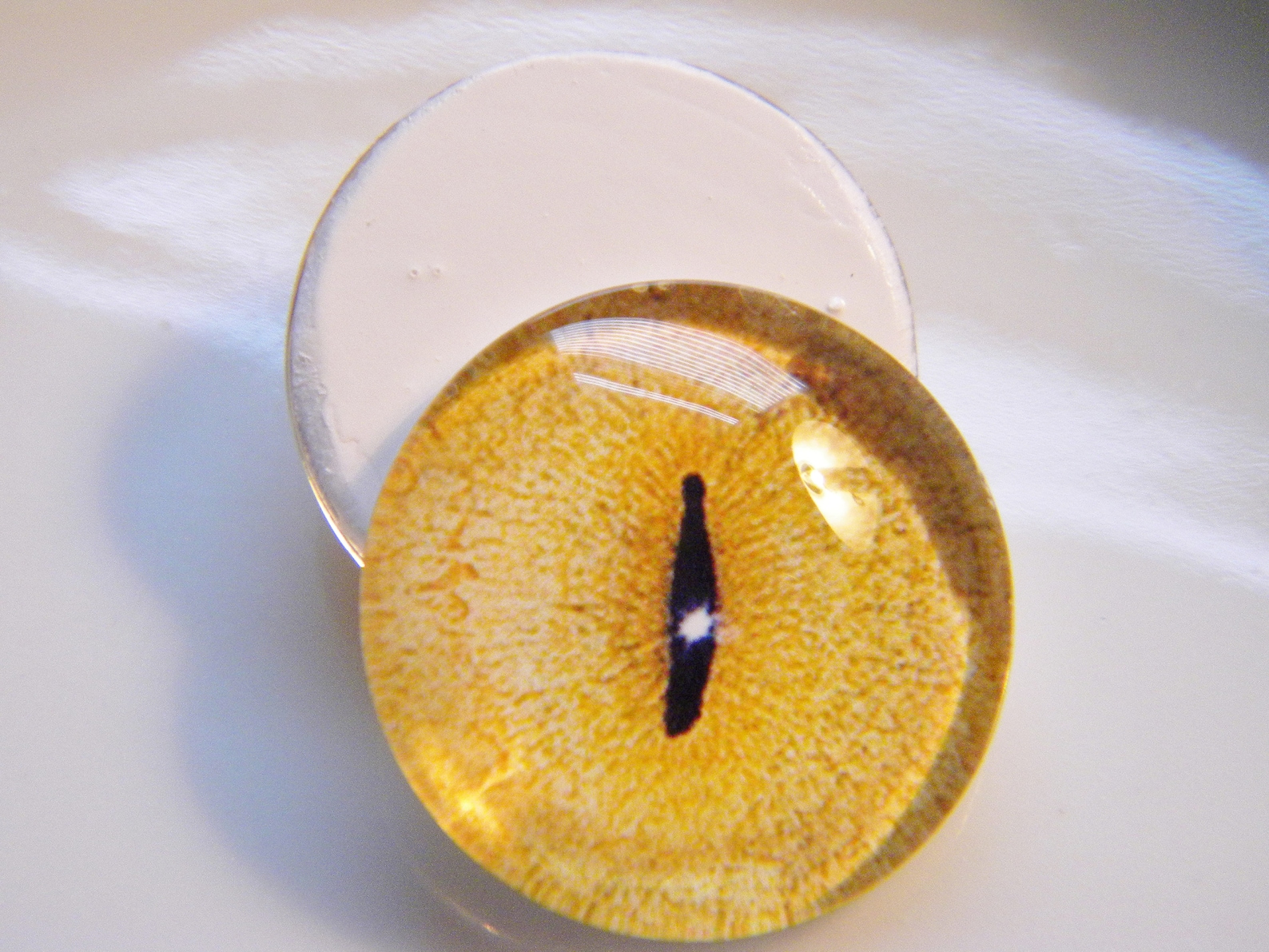 Glass Eyes Yellow Eyes Snake Eyes Lizard Eyes Dragon Eyes - Etsy
