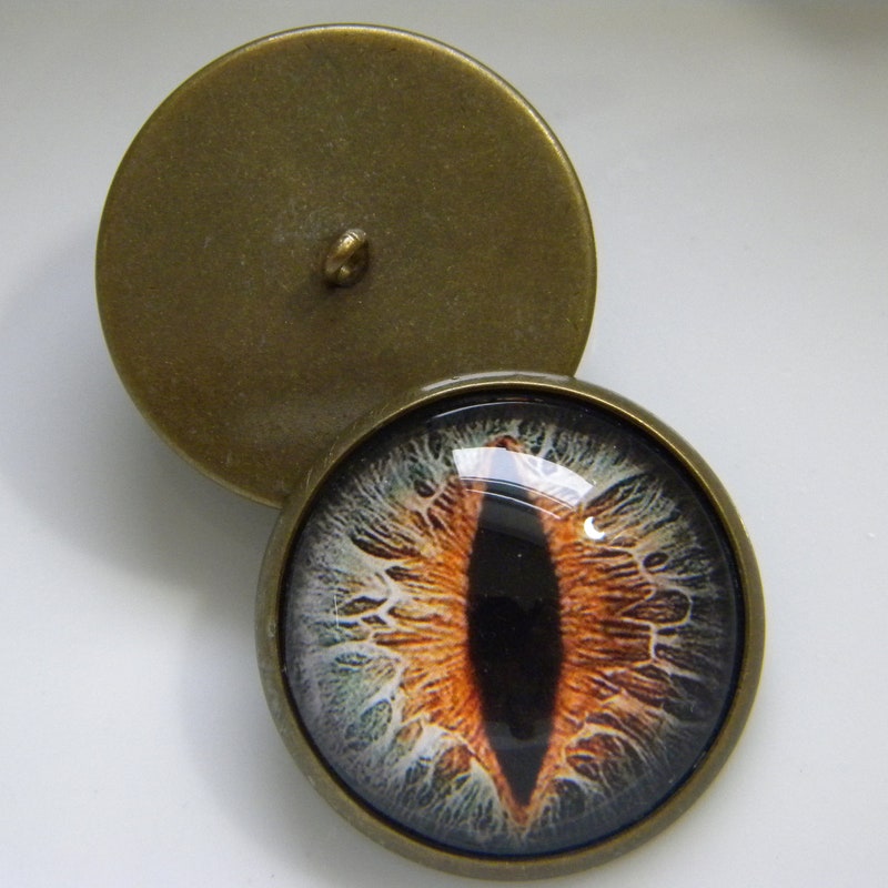 Cat Eye Buttons - Etsy