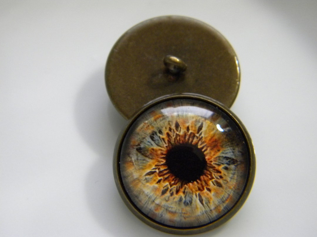 Glass Eyes, Sew on Eyes, Brown Eyes, Bird Eyes, Button Eyes, Loop Back ...