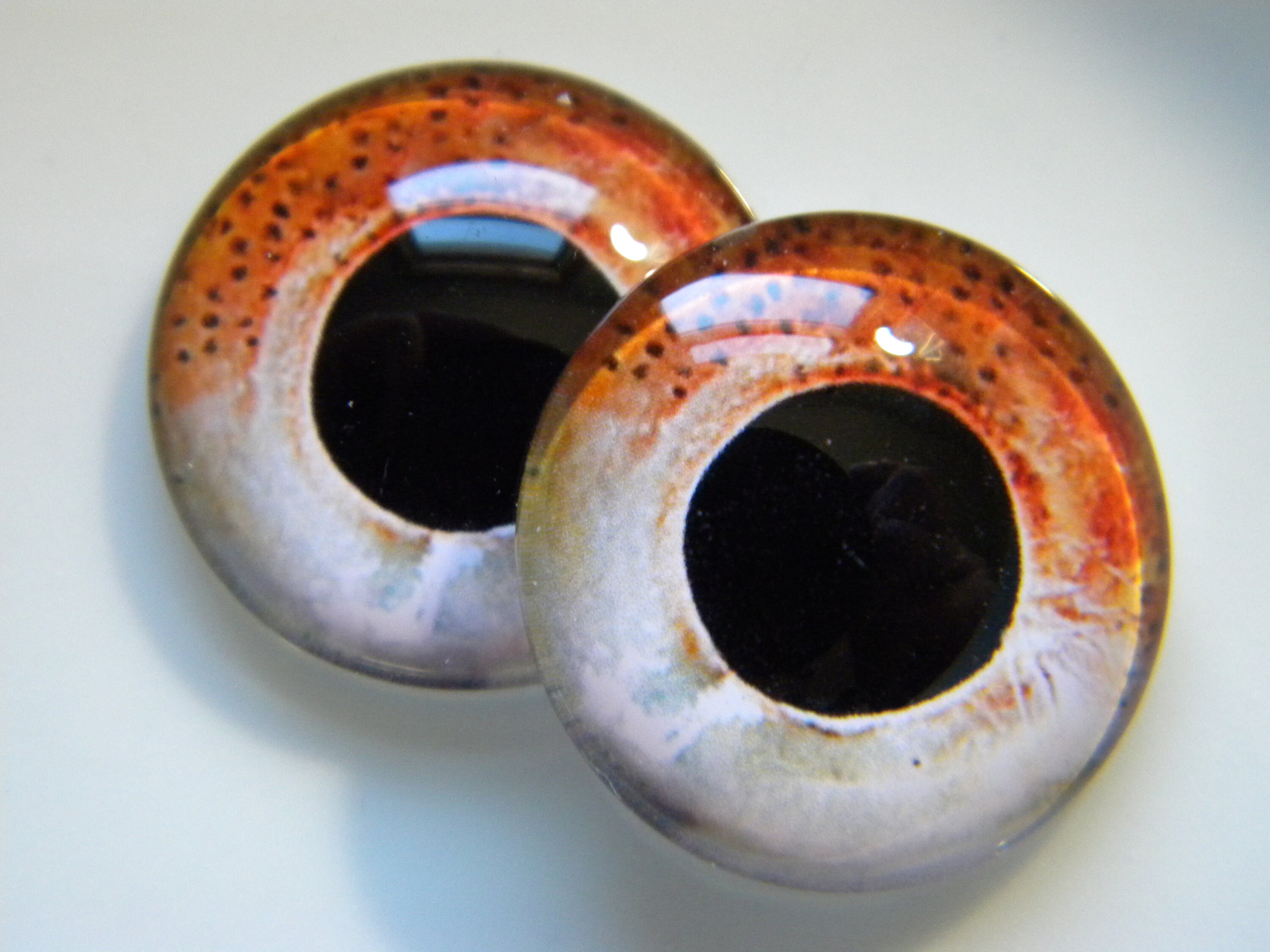 Glass Eyes, Fish Eyes, Fishing Lure Eyes, Reptile Eyes, Trout Eyes ...