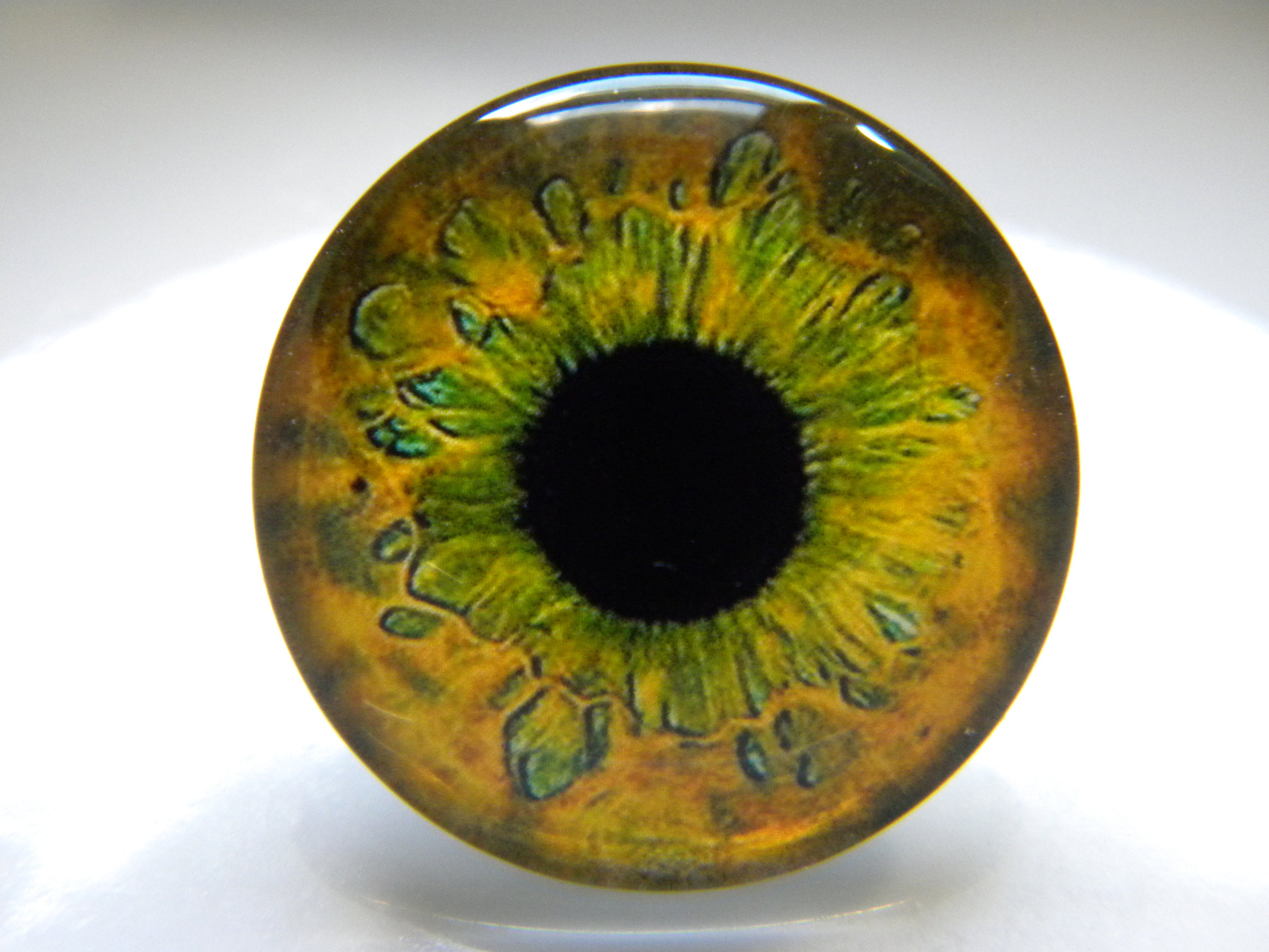 Glass Eyes Cabochon Eyes Gold Eyes Human Eyes Doll Eyes - Etsy