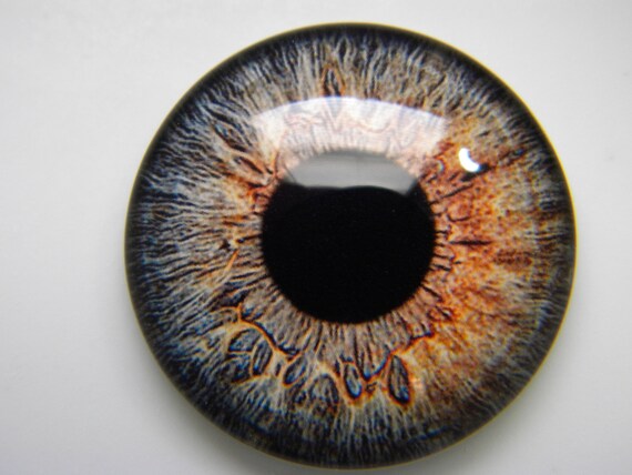 Red Iris Eye Romanian