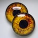 Glass Eyes, Gold Eyes, Golden Eyes, Doll Eyes, Human Eyes, Animal Eyes ...