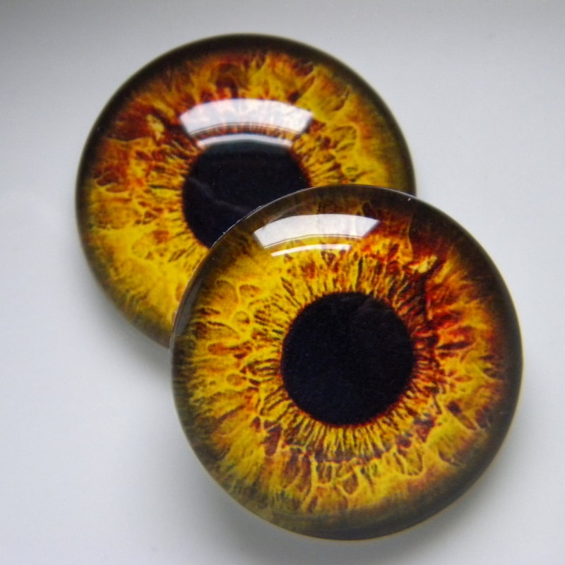 Teddy Bear Eyes - Etsy