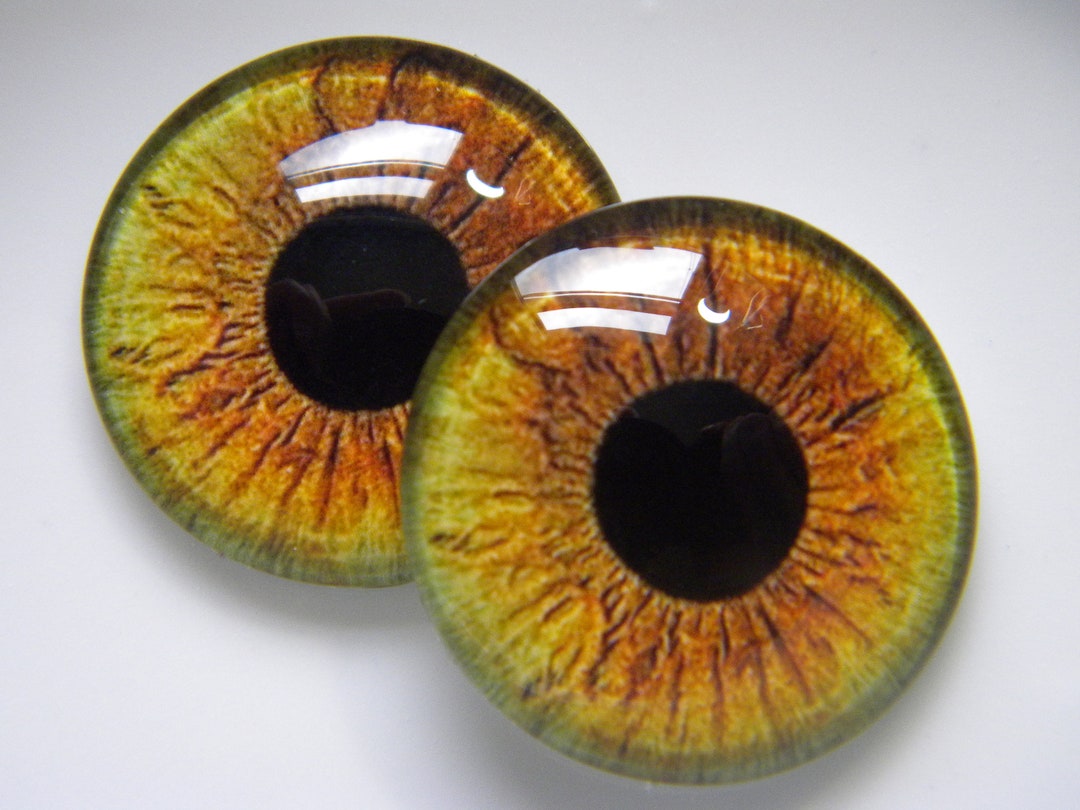Glass Eyes, Gold Eyes, Golden Eyes, Doll Eyes, Human Eyes, Animal Eyes ...