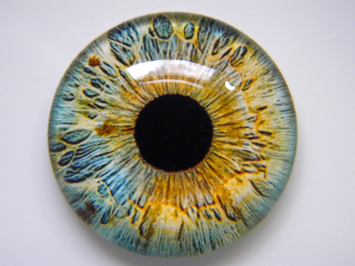 Glass Eyes, Gold Eyes, Golden Eyes, Doll Eyes, Human Eyes, Animal Eyes ...