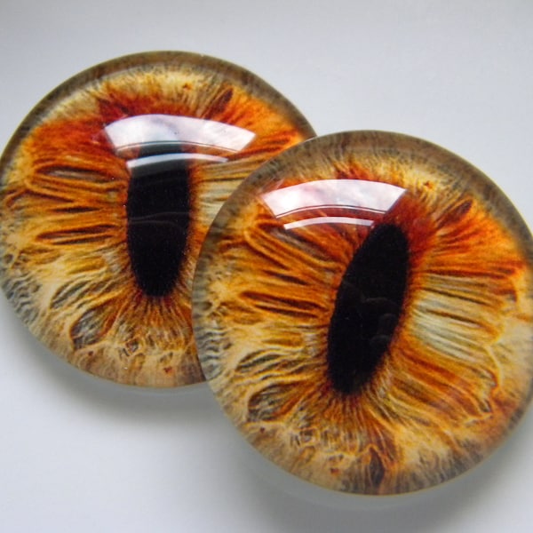 Small Glass Fox Eyes - Etsy
