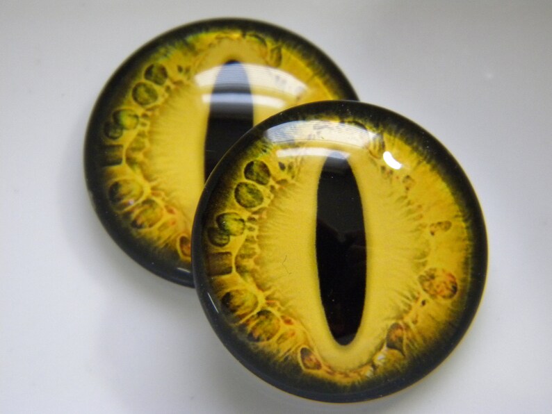 Glass Eyes, Yellow Eyes, Yellow Dragon Eyes, Yellow Cat Eyes, Dragon ...