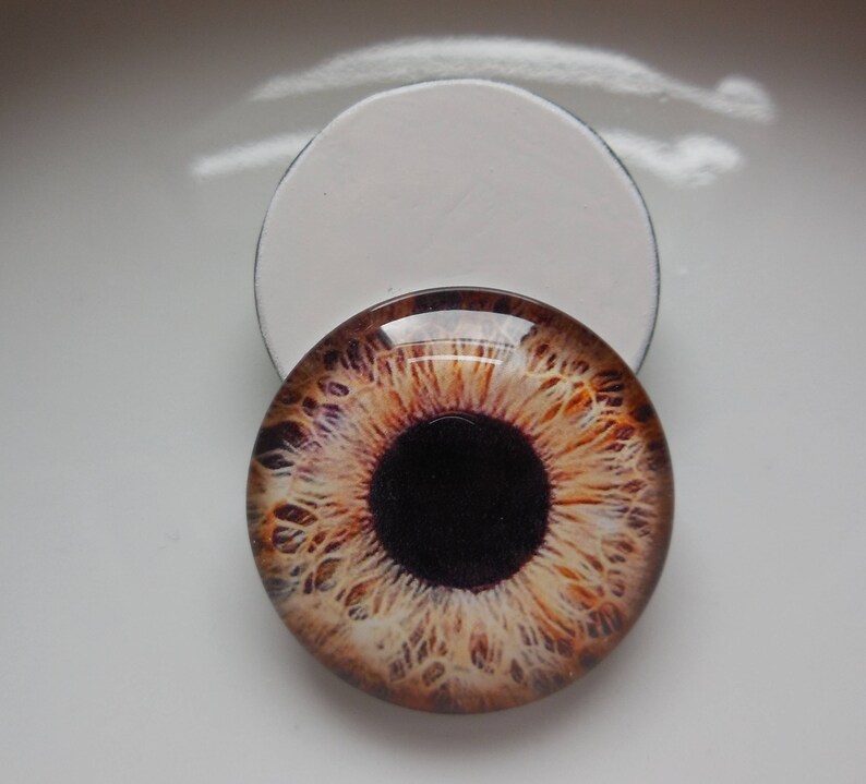Glass Eyes Doll Eyes Brown Eyes Realistic Eyes Brown Doll Etsy