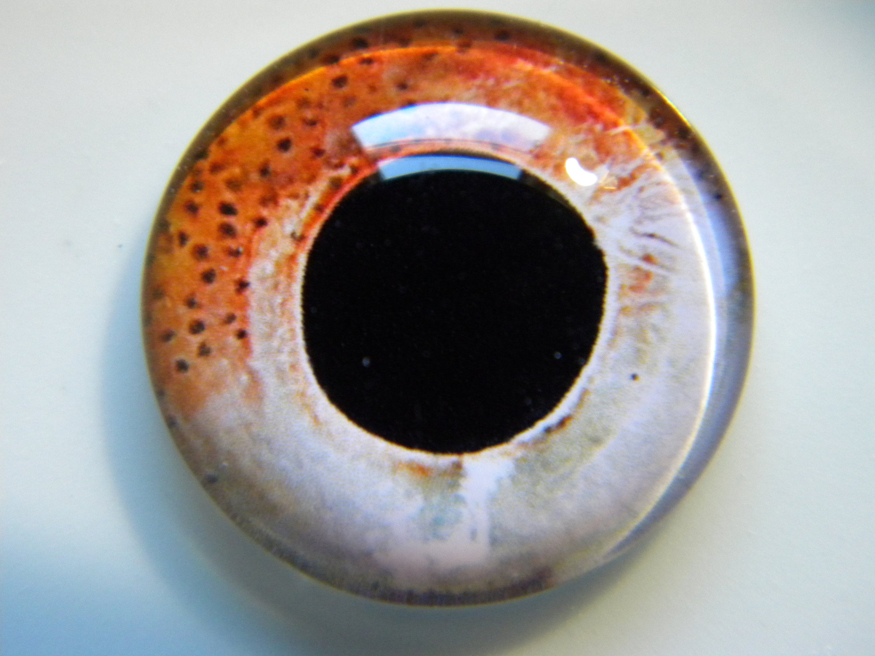 Glass Eyes, Fish Eyes, Fishing Lure Eyes, Reptile Eyes, Trout Eyes ...