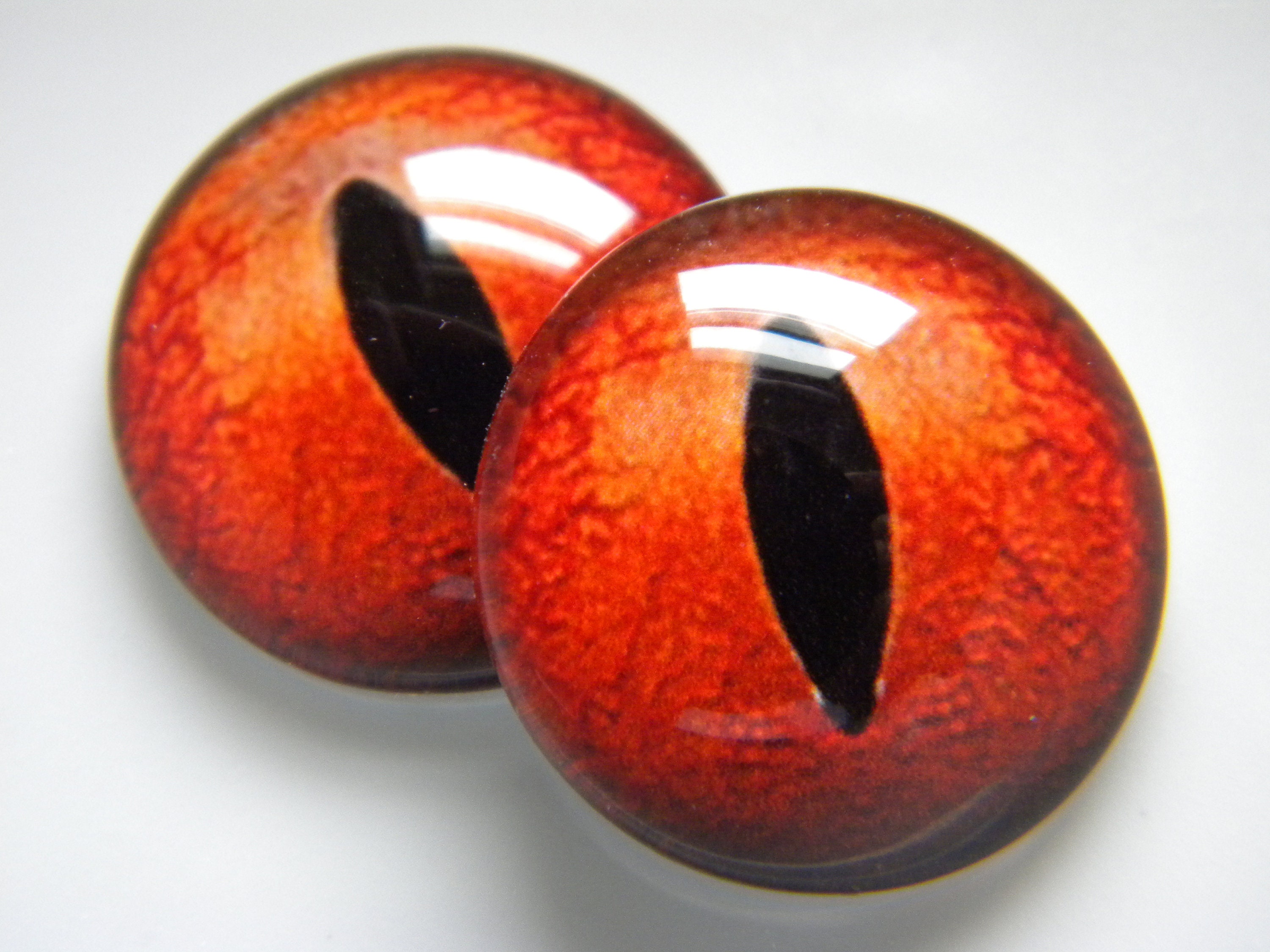 Red Snake Eye Close Up