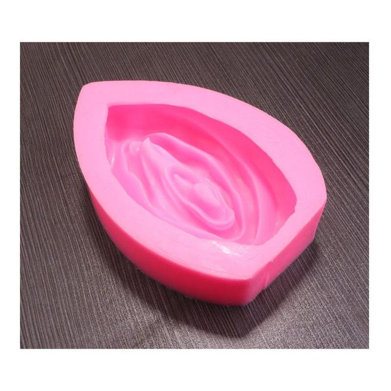 3D Vagina Vulva Resin Mold-vagina Fondant Silicone Mold-female Genital ...