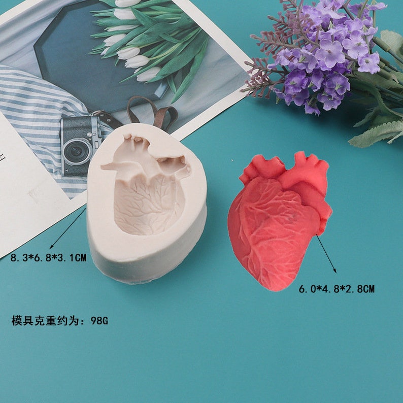 3D Heart Shape Silicone Mold DIY Scented Candle Human Organ - Etsy