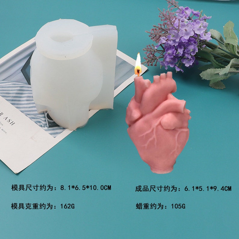 3D Heart Shape Silicone Mold DIY Scented Candle Human Organ - Etsy