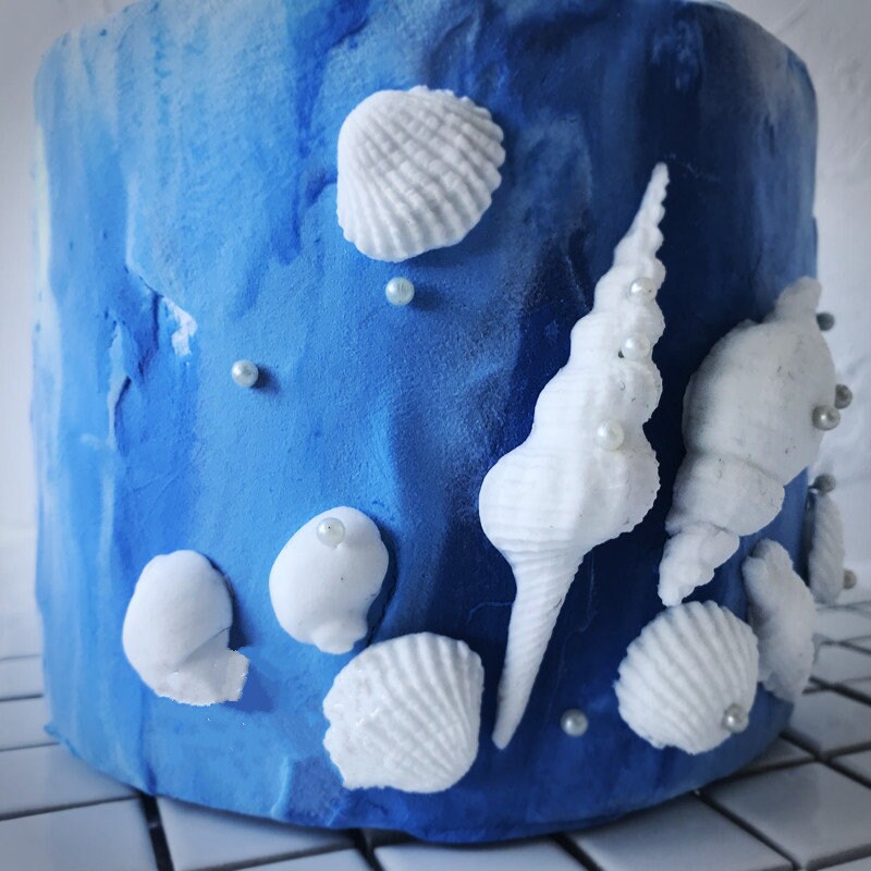 Ocean Collections Conch Shell Mermaid happy | Etsy