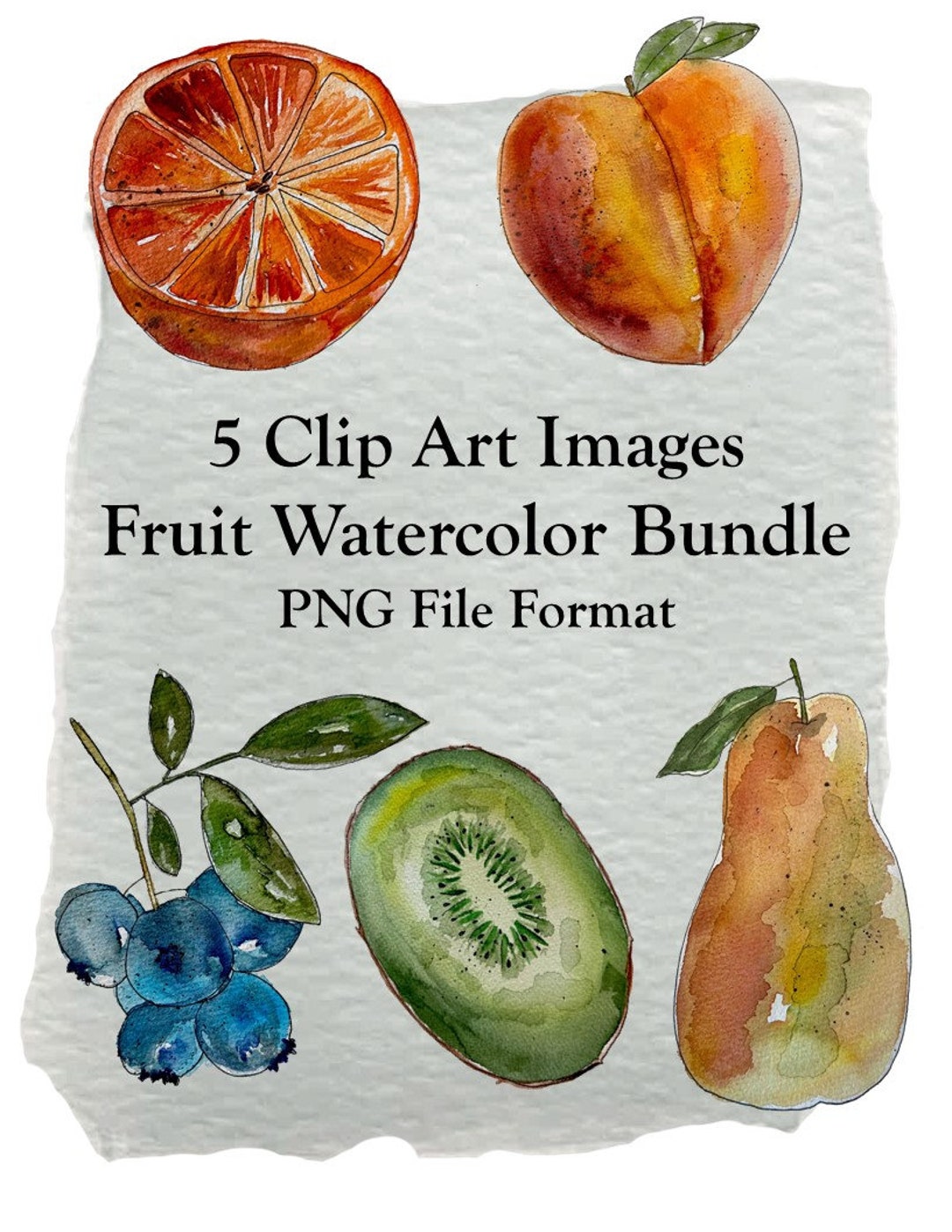 Fruit PNG Clip Art Bundle Watercolor Fruit Fruit Clip Art - Etsy