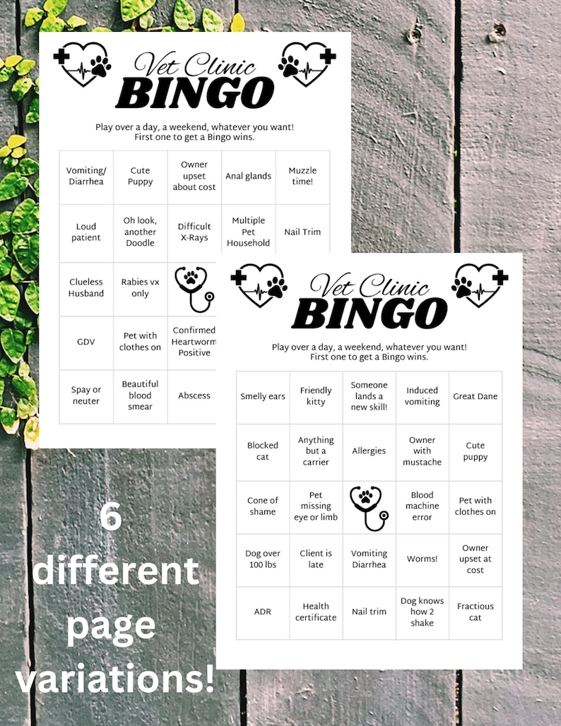 Vet Clinic Bingo Cards *instant Digital Download* - Etsy