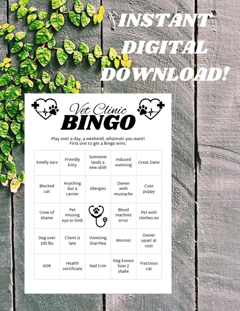 Vet Clinic Bingo Cards *instant Digital Download* - Etsy