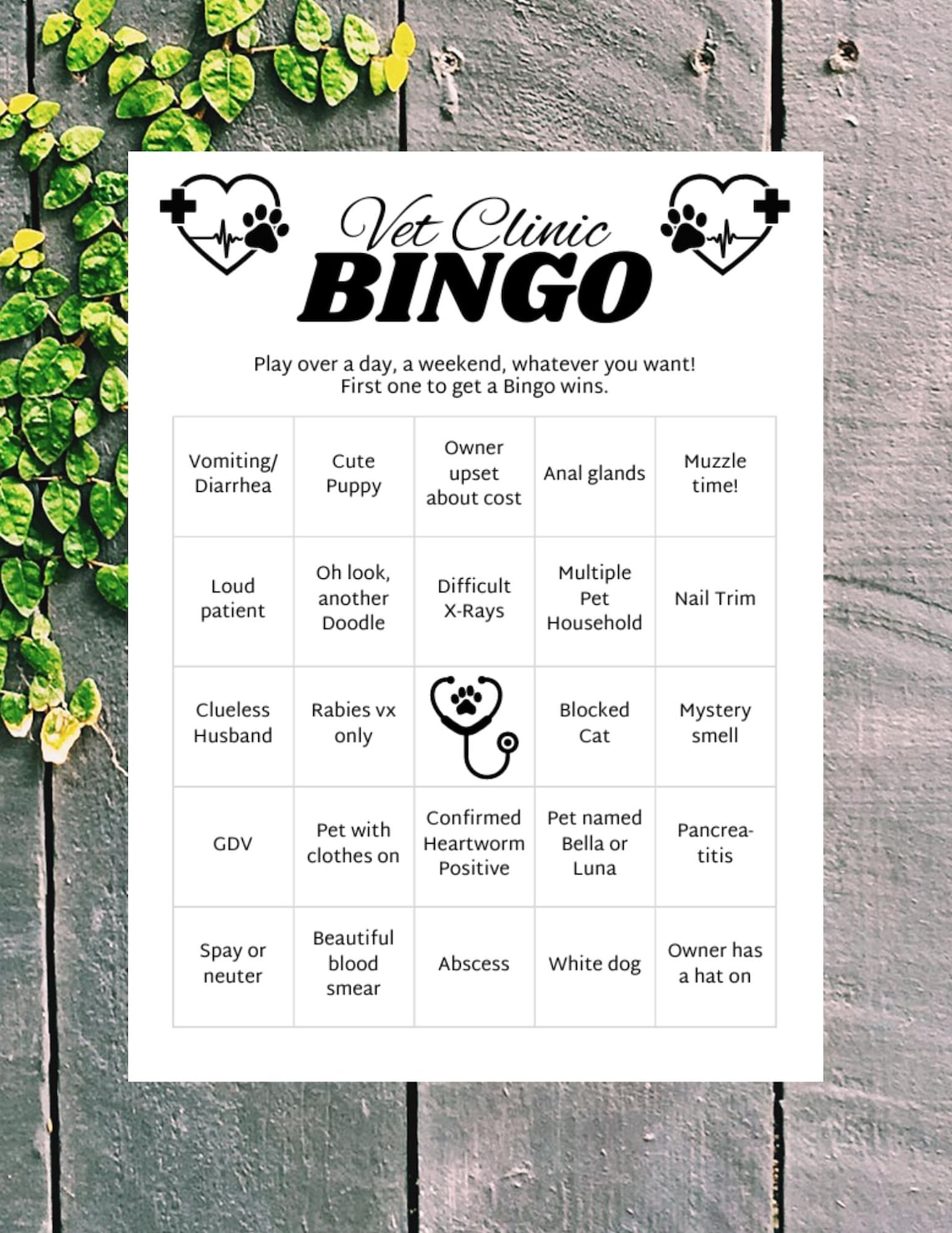 Vet Clinic Bingo Cards *instant Digital Download* - Etsy