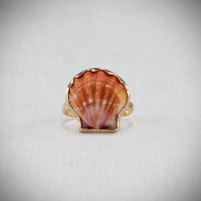 Sunrise Shell - Etsy