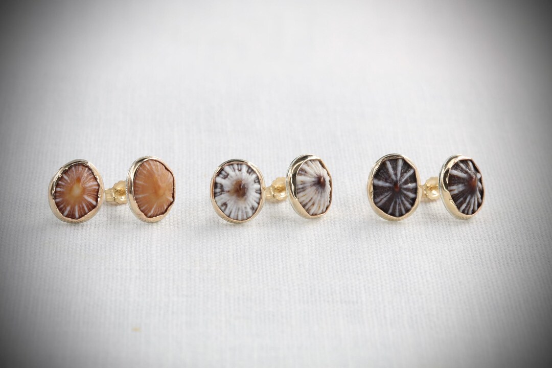 Opihi Shell Stud Earrings – Hawaiian Shell Jewelry With Gold Filled ...