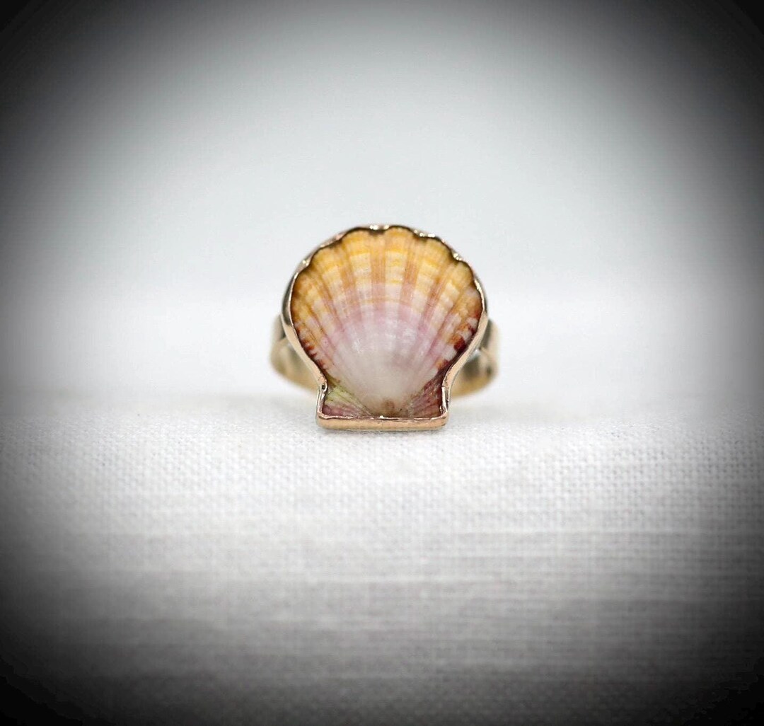 Gold Filled Bezel Hawaiian Sunrise Shell Ring - Etsy