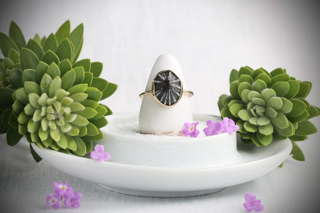 Black & White Opihi Shell Ring – Made to Order 14k Gold Fill or ...