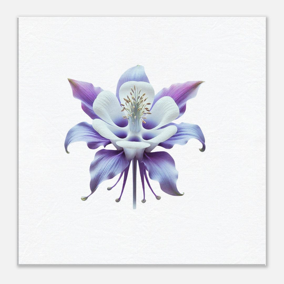 Rocky Mountain Columbine Wildflower (PNW) - Etsy