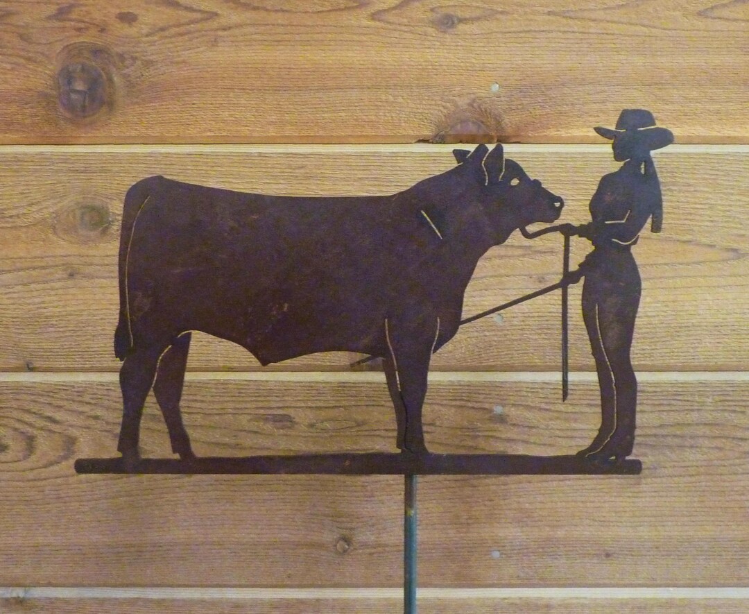 Showmanship Steer Garden Stake - Laser-cut Design, Natural Rust Finish ...