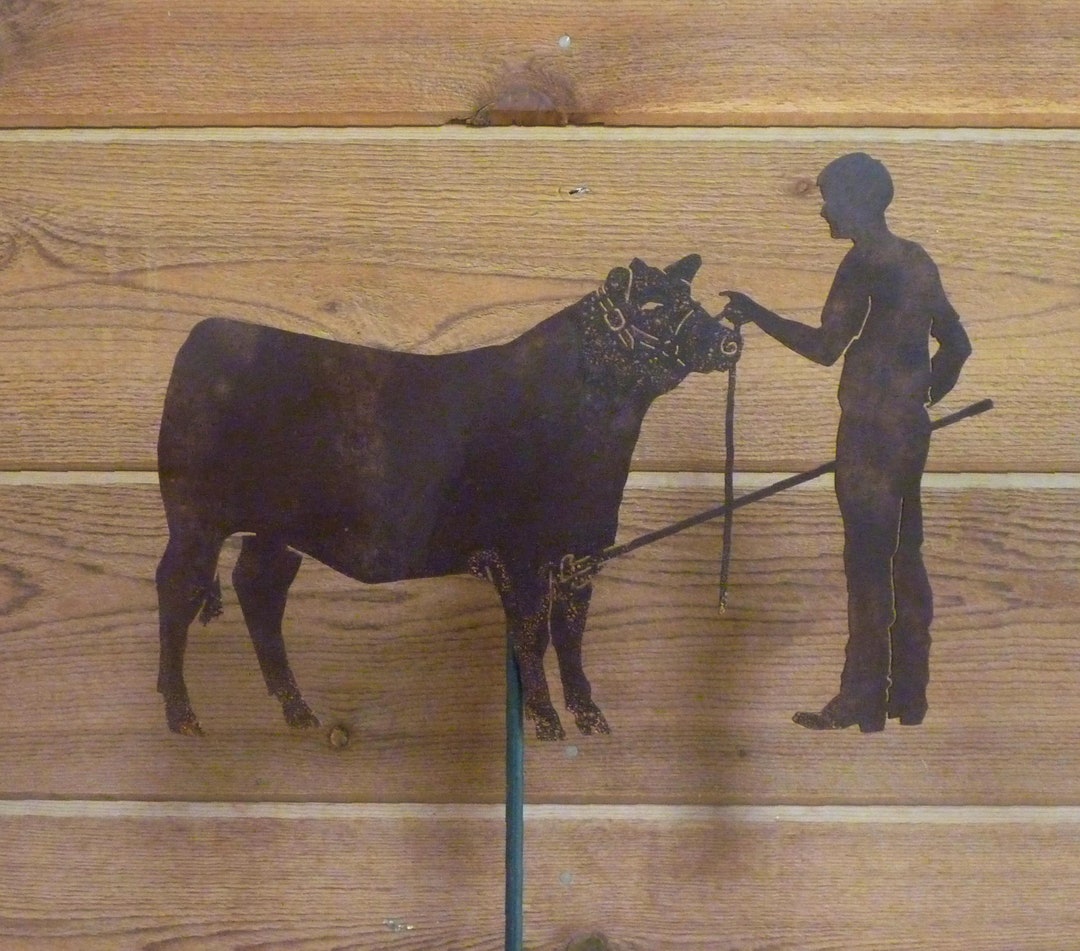 Man Showmanship Steer Garden Stake - Laser-cut Design, Natural Rust ...