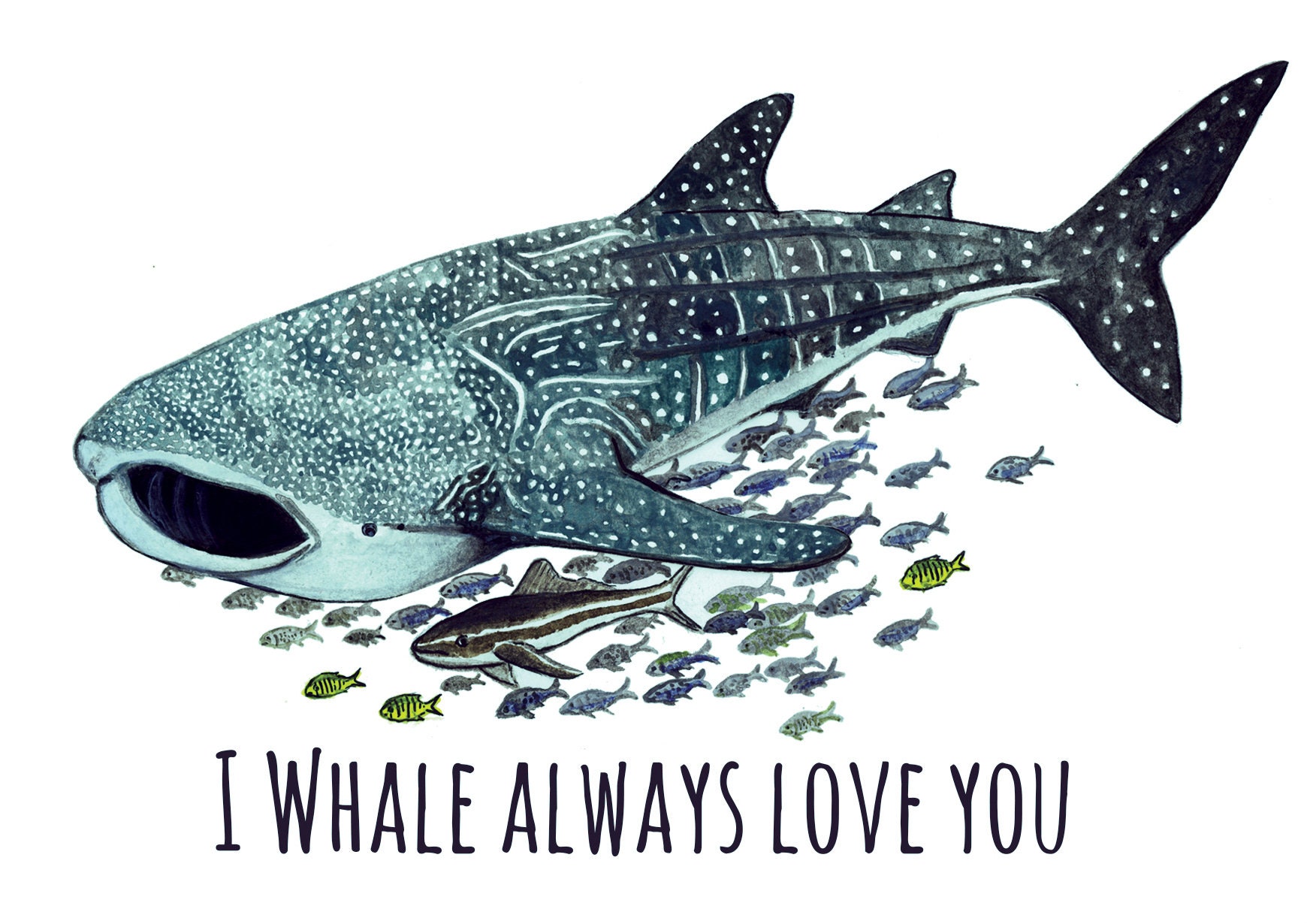 I Whale Always Love You Greeting Card Love Card - Etsy