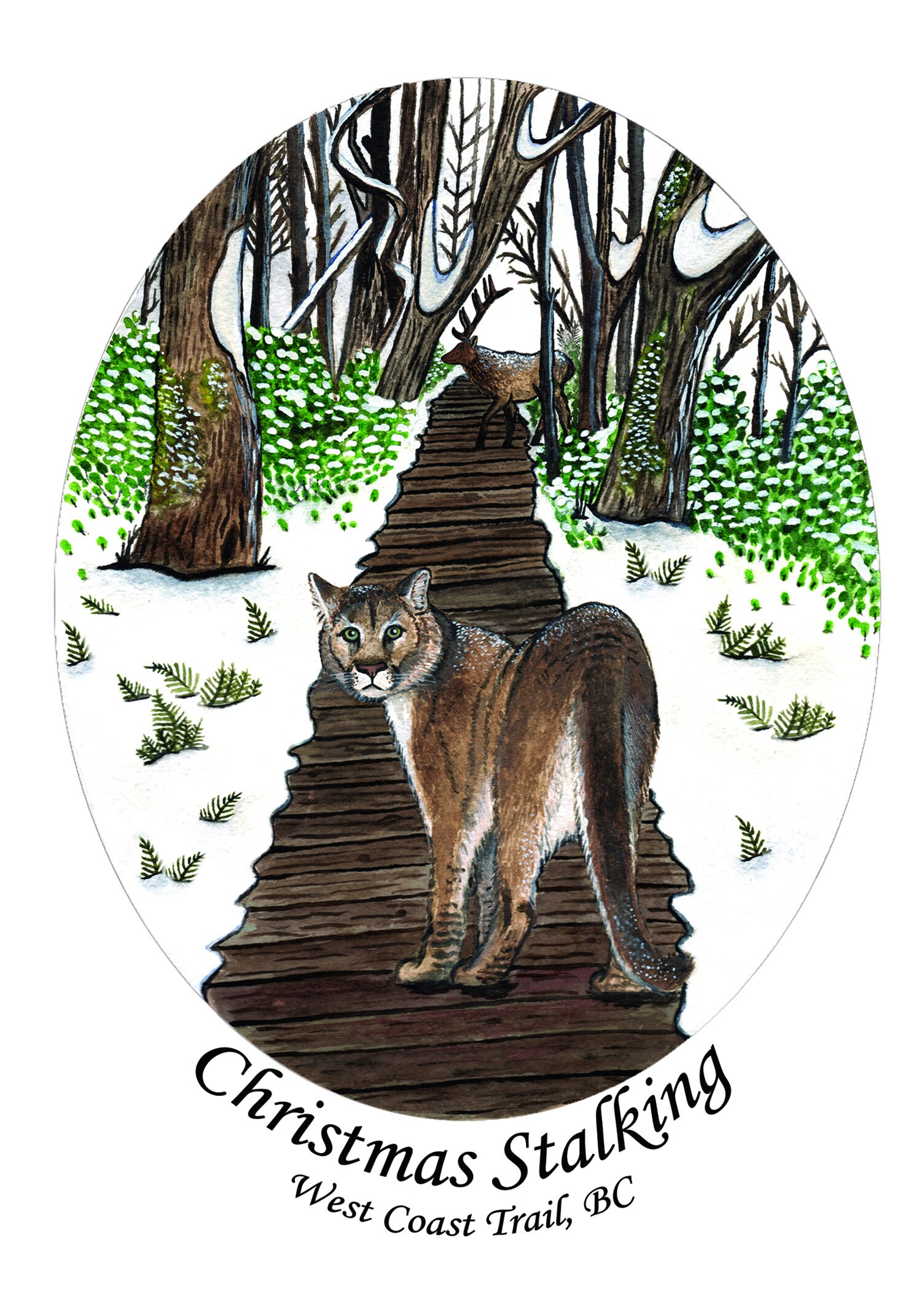 Christmas Stalking Greeting Card - Vancouver Island Cougar - Christmas ...