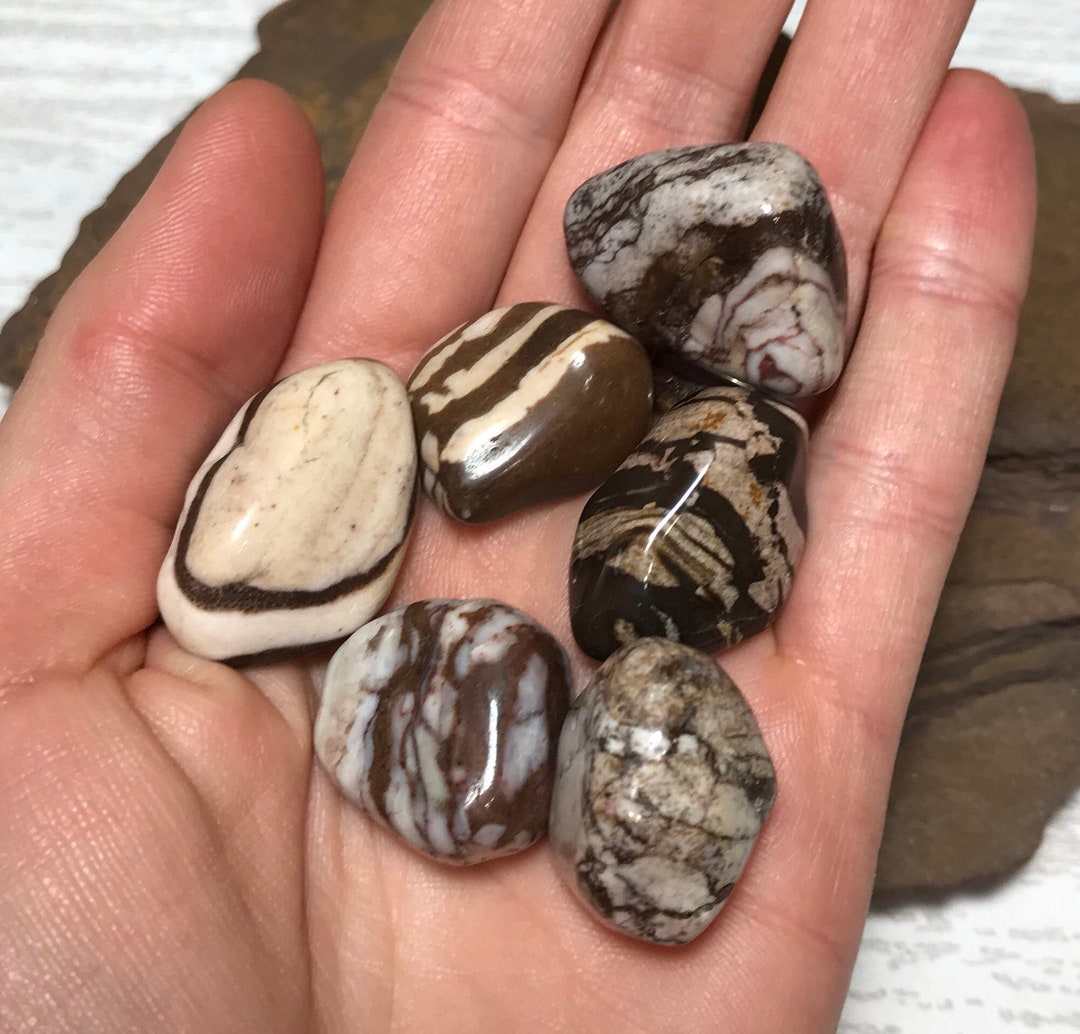 Tumbled Brown Zebra Jasper From South Africa, Metaphysical Supplies - Etsy