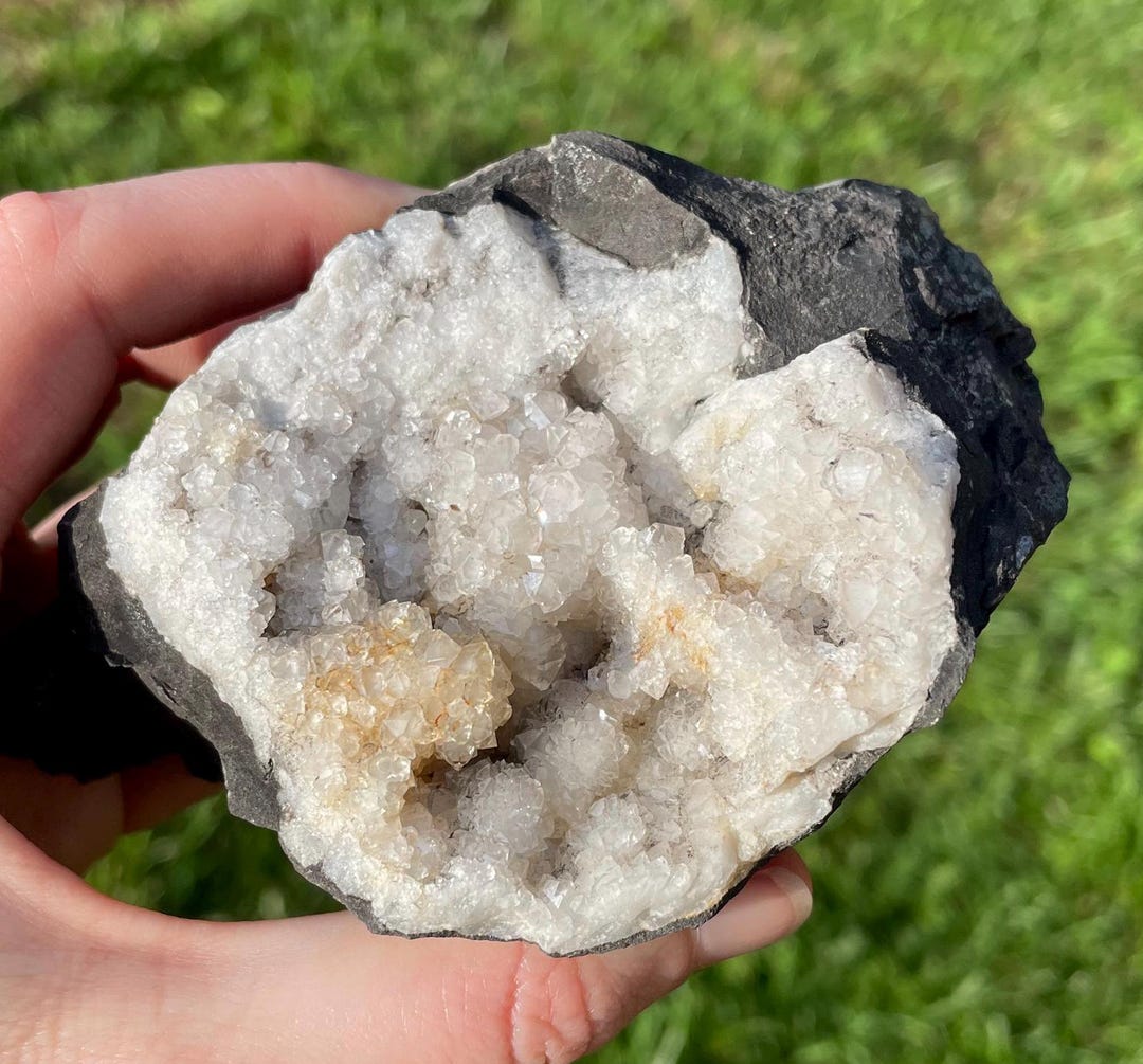 Natural Quartz Geode in Shale Matrix From Tennessee, Cannon County ...