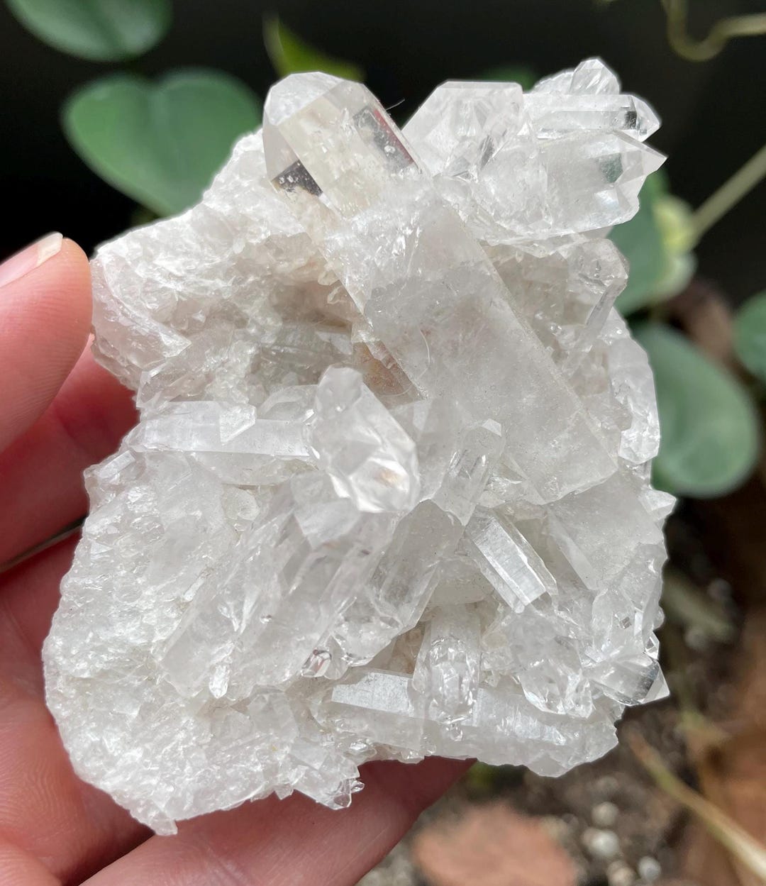 Clear Quartz Cluster, Jim Coleman Mine, Jessieville, Arkansas ...