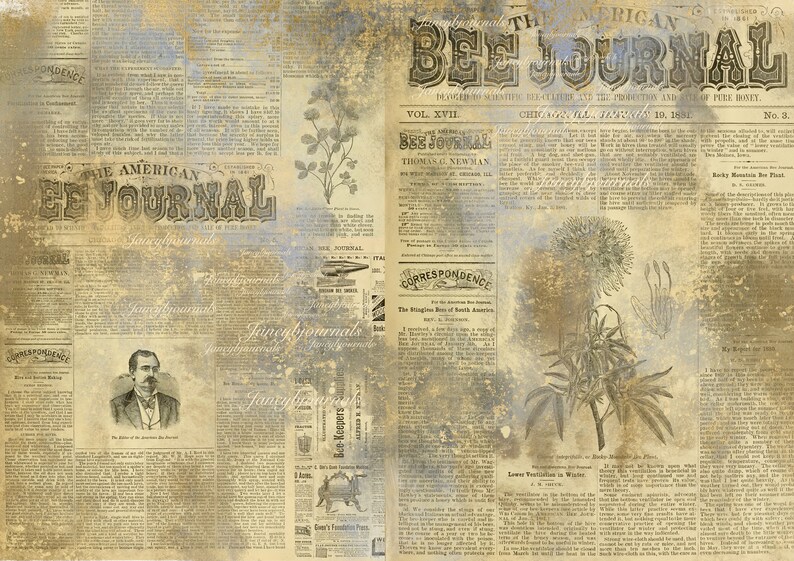 Companion Papers for Junk Journal Kit Honey Roses 15 Pages - Etsy UK