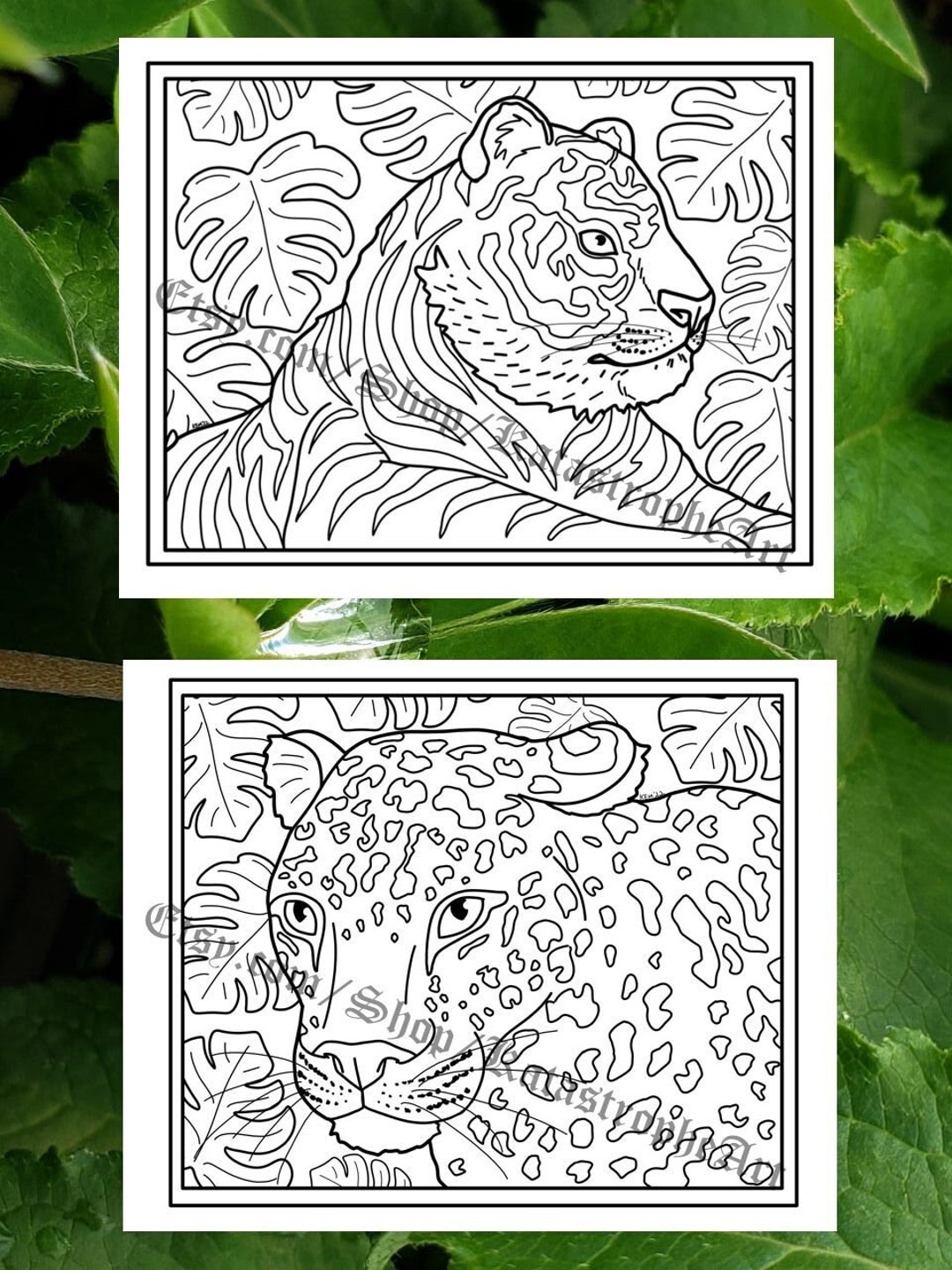 Printable Big Cats Coloring Pages - Etsy