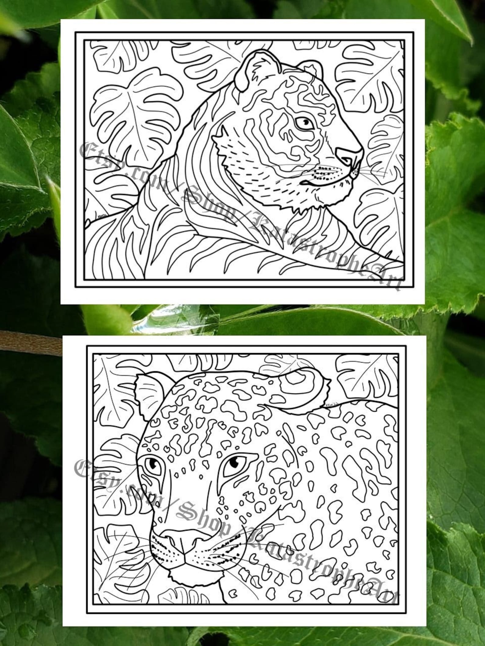 Printable Big Cats Coloring Pages - Etsy Canada