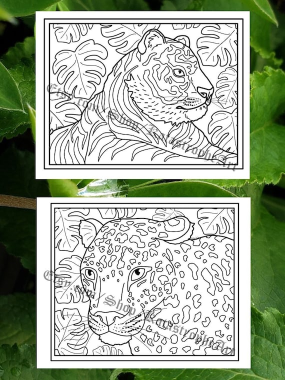 Printable Big Cats Coloring Pages - Etsy