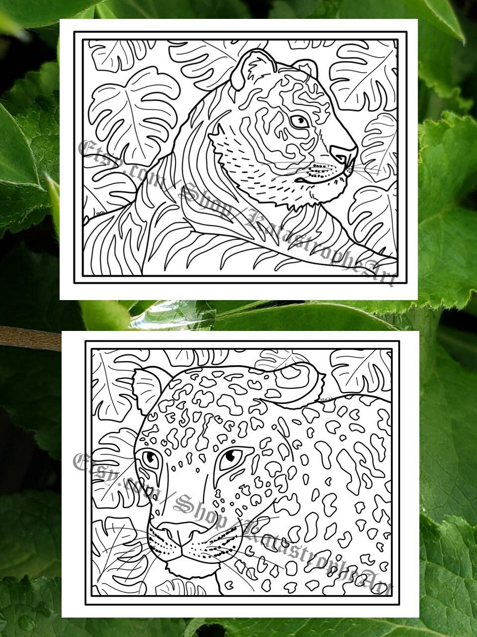 Printable Big Cats Coloring Pages - Etsy
