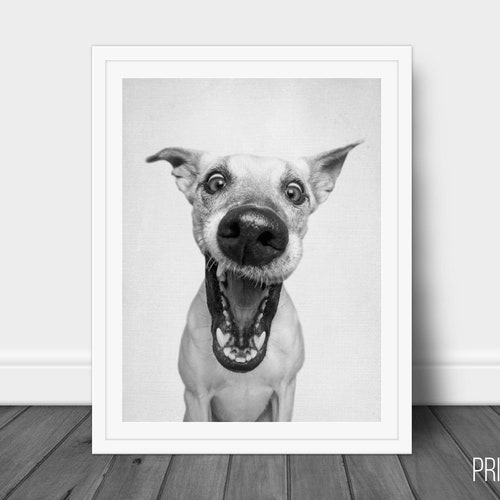 Dogs Print Nursery Animal Decor Wall Art Dog Photo Large - Etsy