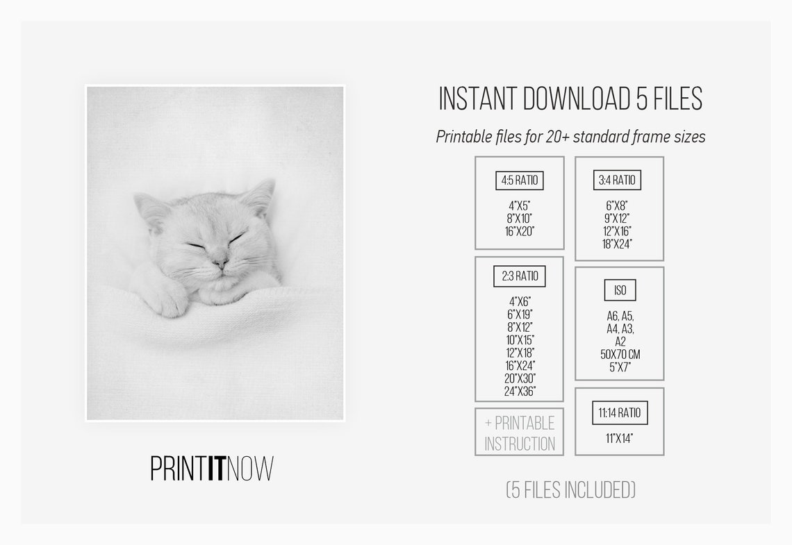 Sleeping Cat Print Nursery Animal Decor Wall Art Large - Etsy