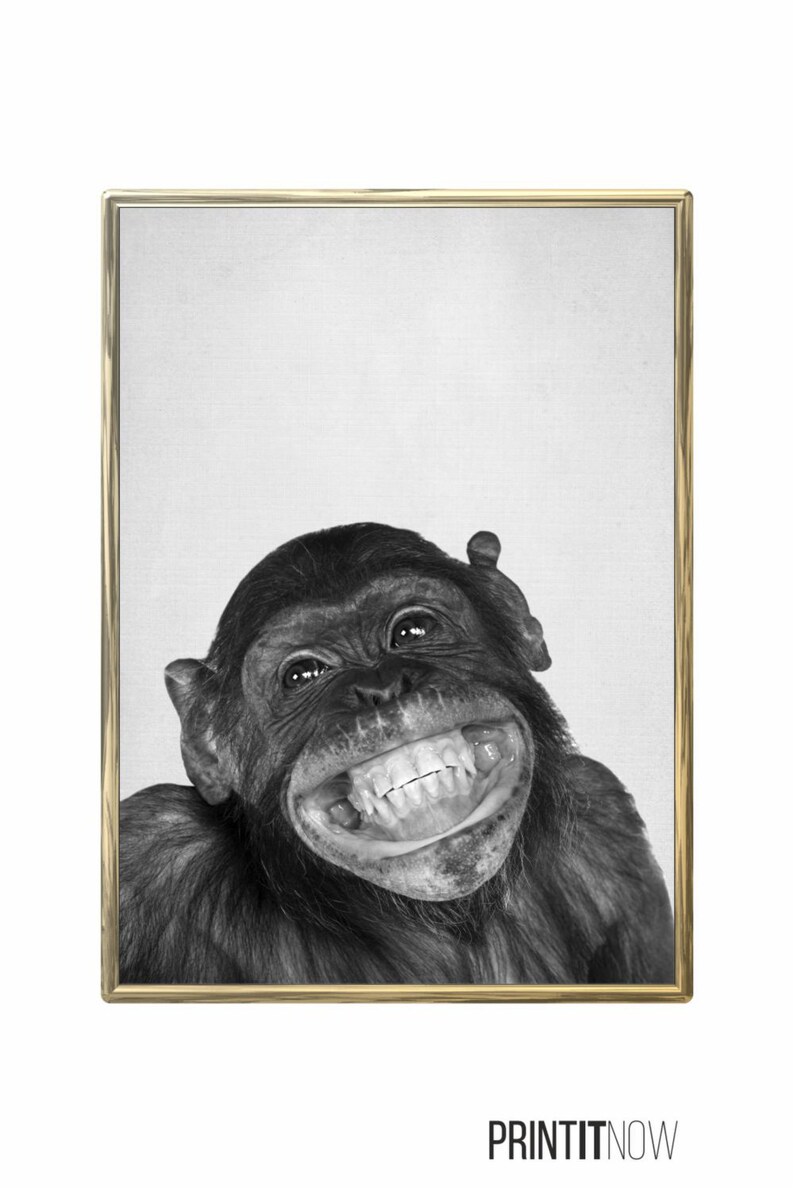 Monkey Print Nursery Animal Decor Wall Art Large Printable - Etsy